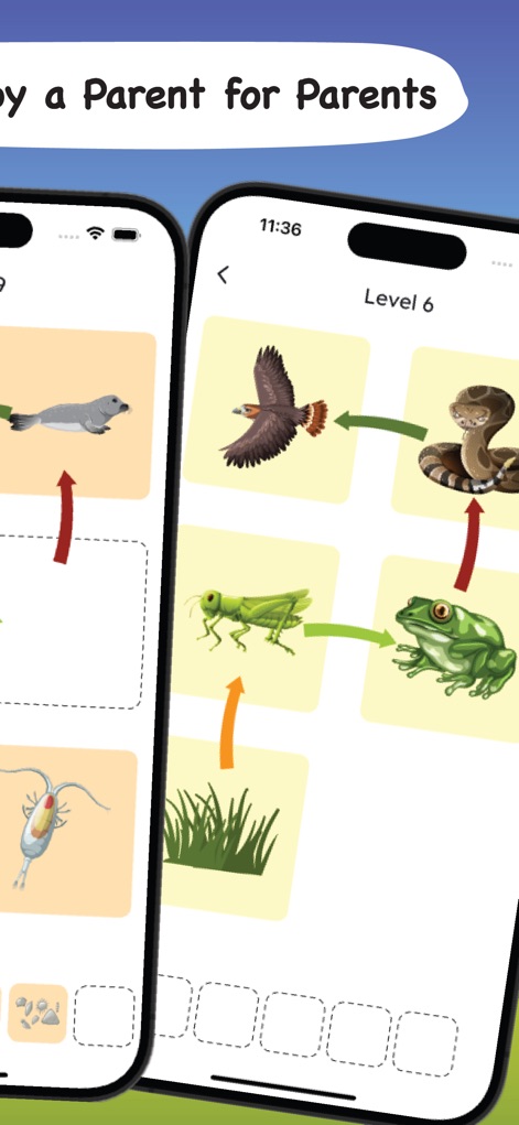 Learn Food Chain: Food Web Kid - Education App | MWM