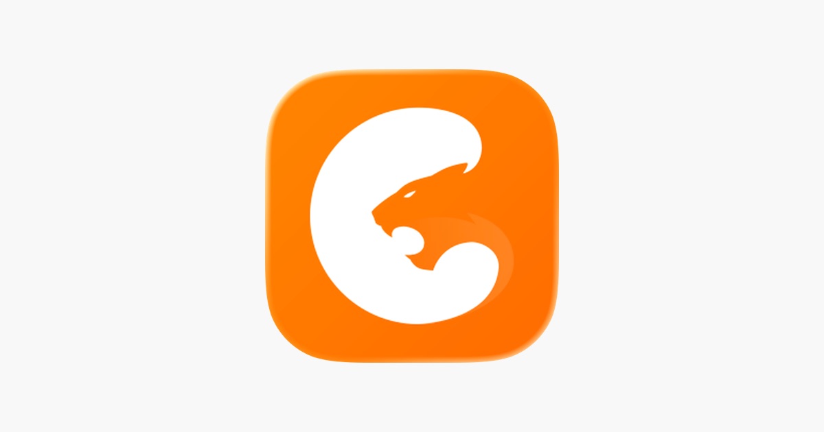 ‎Cloud Leopard VPNアプリ - App Store