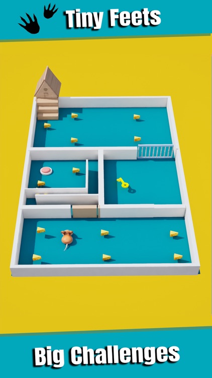 Mouse Escape :Hide and Seek by Haroon Ahmad