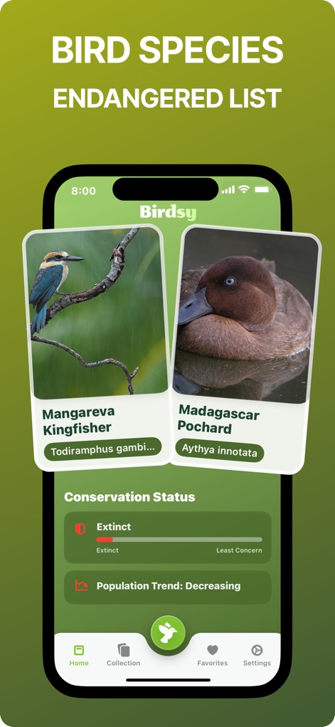 Bird Sound Identifier - Ornis - Reference App | MWM