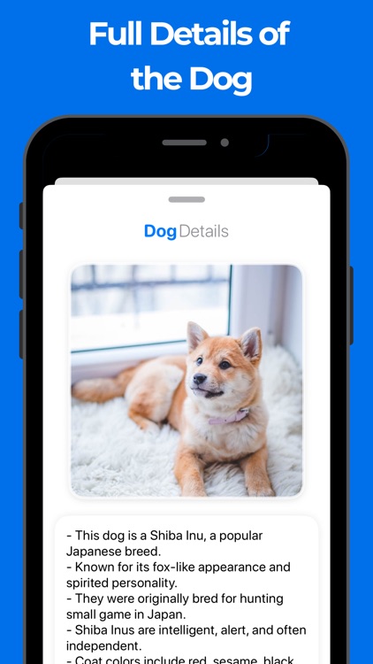 Dog Breed Identifier Scanner by CHARAFA BOUKHALFA