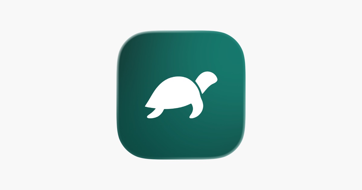 ‎Turtle: Slow Dating App & Chat‑App – App Store