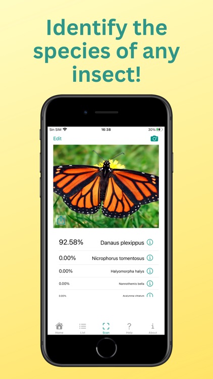 InsectID - Identify Insects by Edgar Zuniga