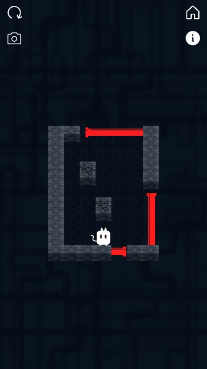 Snake Cat by Anuj Mishra