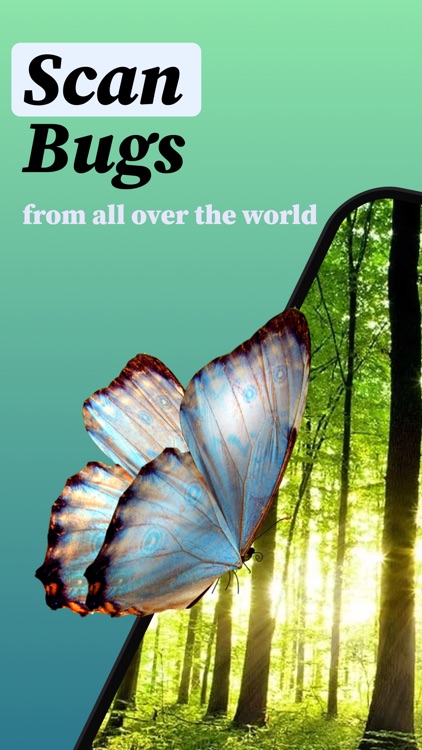 Bug identifier・Insect Scanner by Doga Bayram