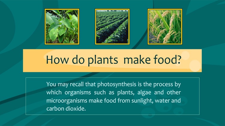 Light Independent Reaction by Science Education Institute