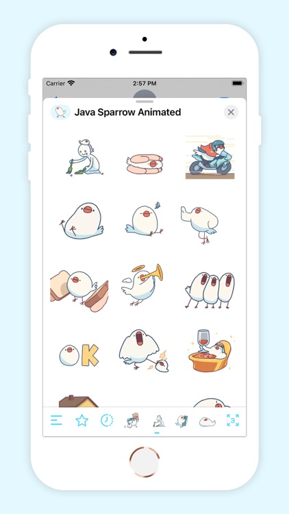 Java Sparrow Animated by Kaushik Vekariya