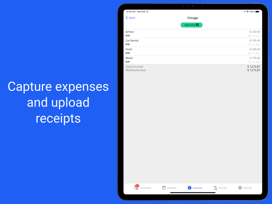 Deltek Replicon Time iOS App