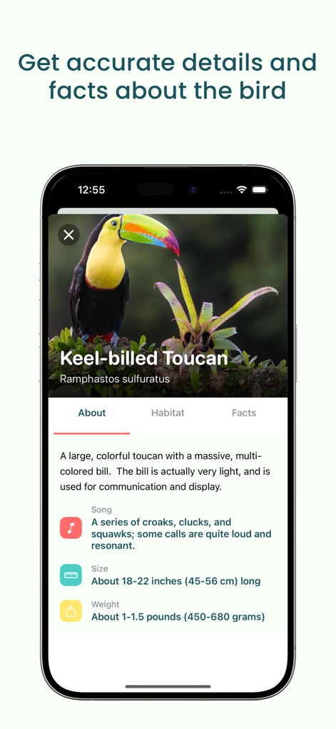 Bird AI - bird identifier - Utilities App | MWM
