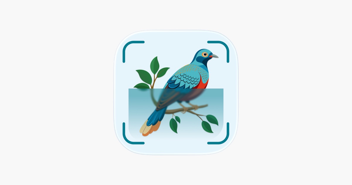 ‎Bird Identifier: Parrot-Pigeon‑App – App Store
