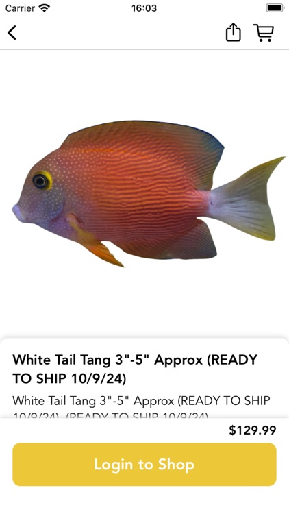 Harry's Marine Life by CommentSold Apps SII