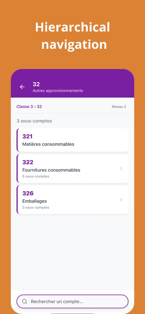French Chart of Accounts - Business App | MWM