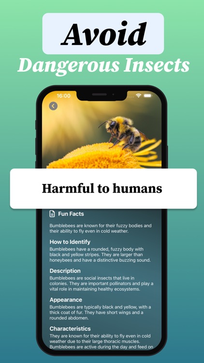 Bug identifier・Insect Scanner by Doga Bayram
