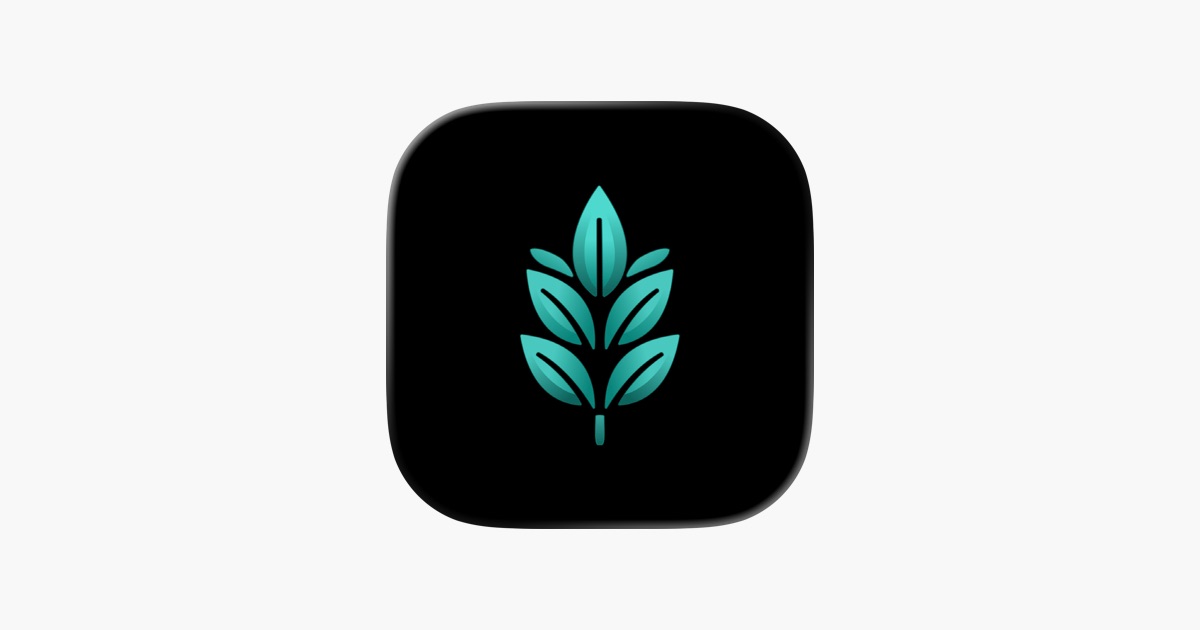 ‎Euka Creator App - App Store