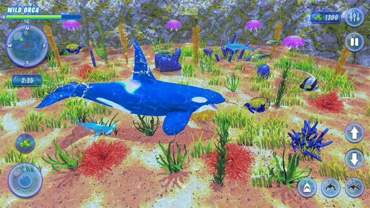 Orca Killer Whale Simulator by Abdur Rafay
