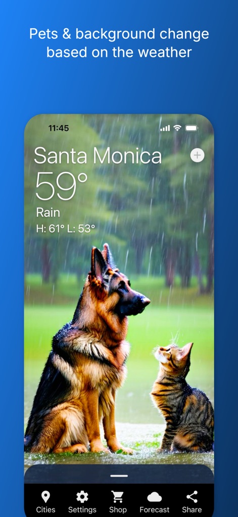 Weather Pet - Local Forecast - Weather App | MWM