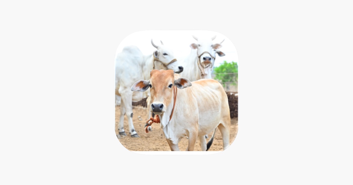 ‎App Sri Govinduni Goseva – App Store