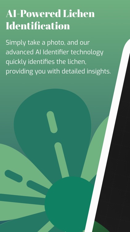 Lichen Identifier: Scan Lichen by Youssef Agnaou