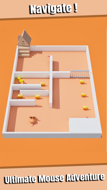 Mouse Escape :Hide and Seek by Haroon Ahmad