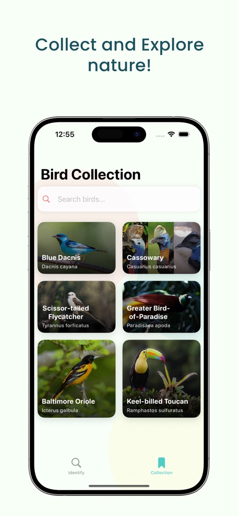 Bird AI - bird identifier - Utilities App | MWM