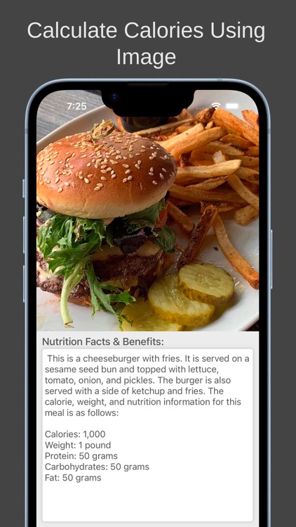 AI Calories Counter - By Photo by M. Mohsin
