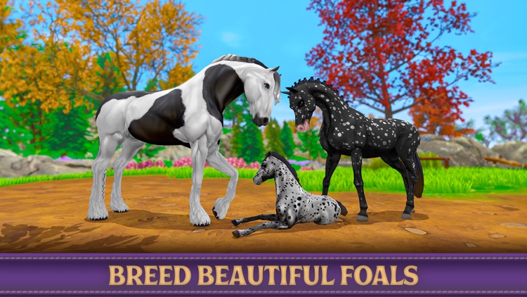 Star Equestrian - Horse Ranch by Foxie Ventures LLC