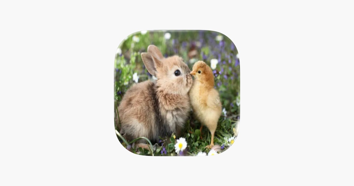‎My Pets Gallery App - App Store