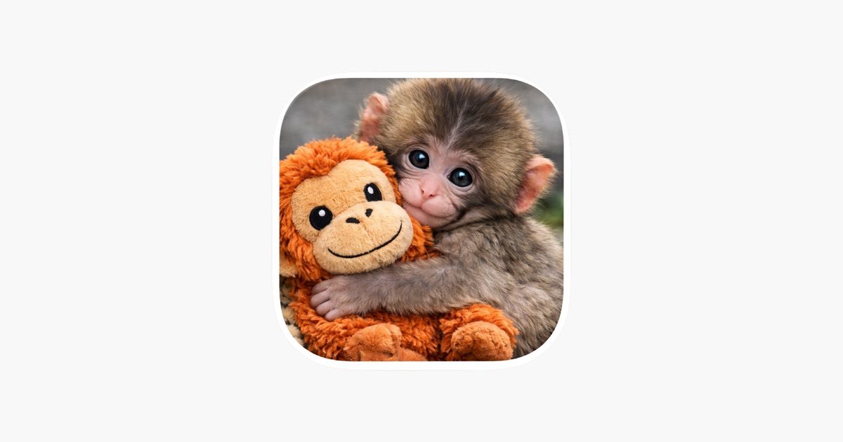‎App Punch - Monkey Games - App Store