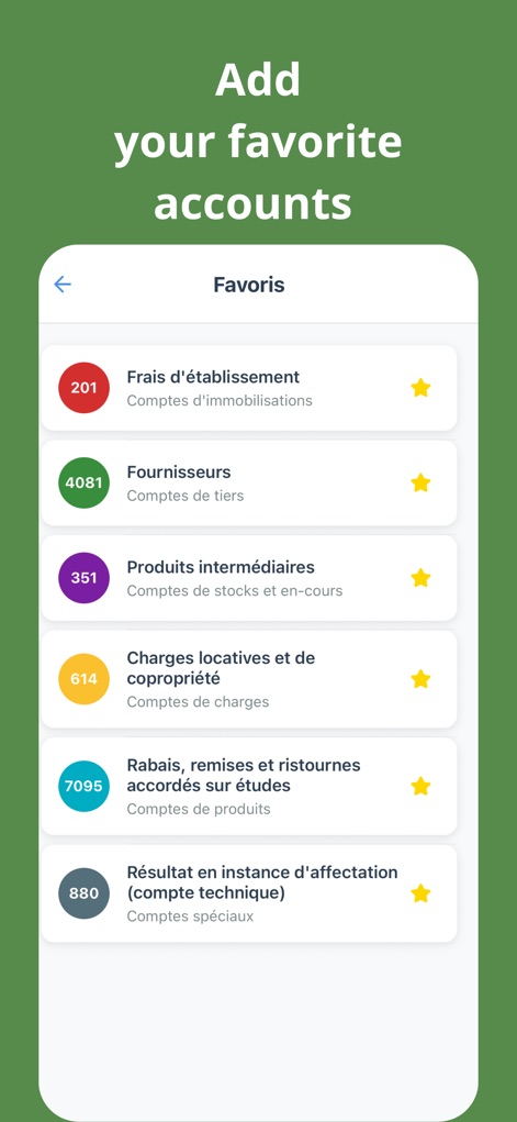 French Chart of Accounts - Business App | MWM