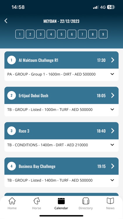 Emirates Racing Authority by Dubai Racing Club