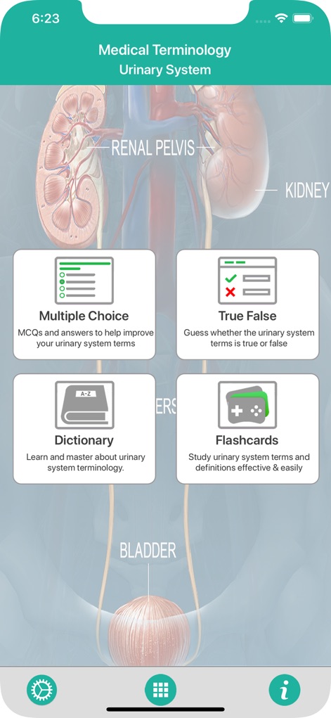 Urinary System Medical Terms - App de Educación | MWM