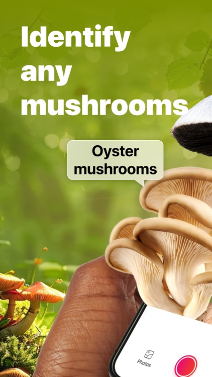 Picture Mushroom: Identifier by Next Vision Limited