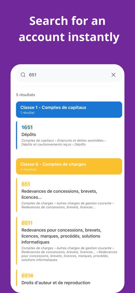 French Chart of Accounts - Business App | MWM