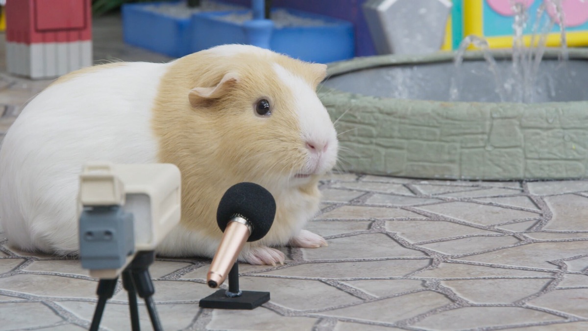 ‎Apricot's Biggest Scoop Yet – Mittens & Pants (Season 3, Episode 20 ...