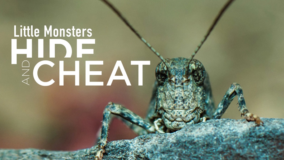 ‎Little Monsters - Hide & Cheat - Apple TV