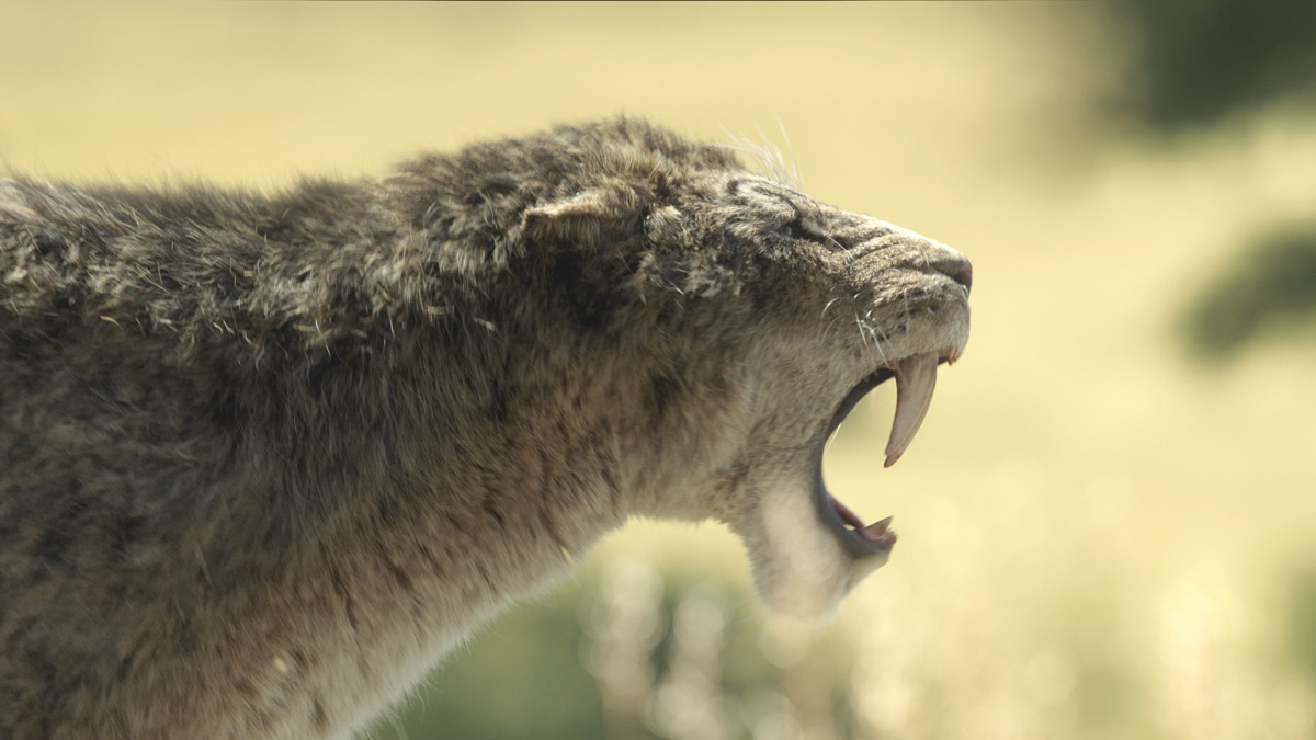 ‎Watch Grass Lands – Prehistoric Planet (Season 3, Episode 4) - Apple ...