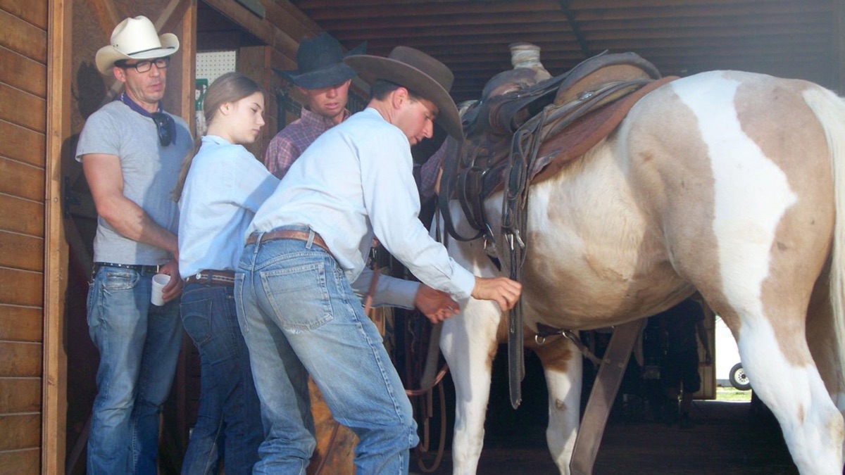 American Mustang - Apple TV