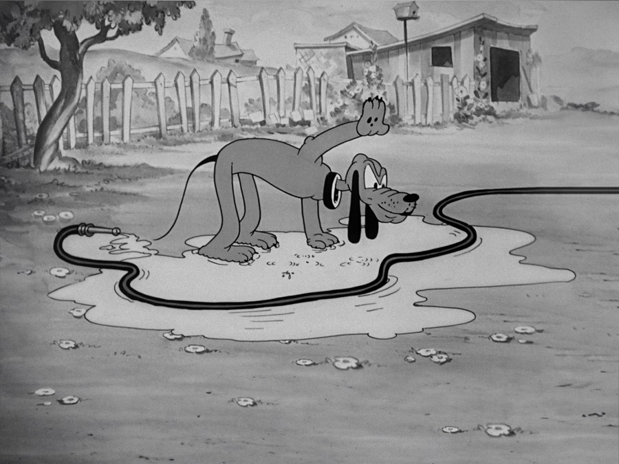 Playful Pluto - Apple TV