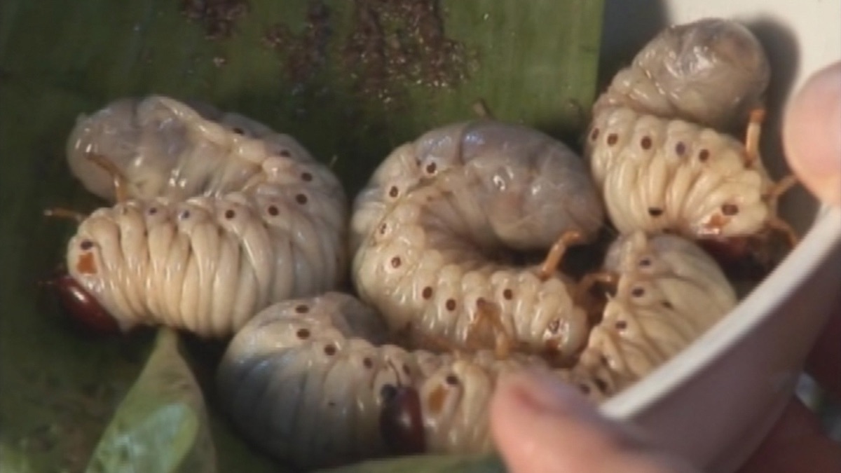 ‎Philippines - Bizarre Foods with Andrew Zimmern (Season 1, Episode 2 ...