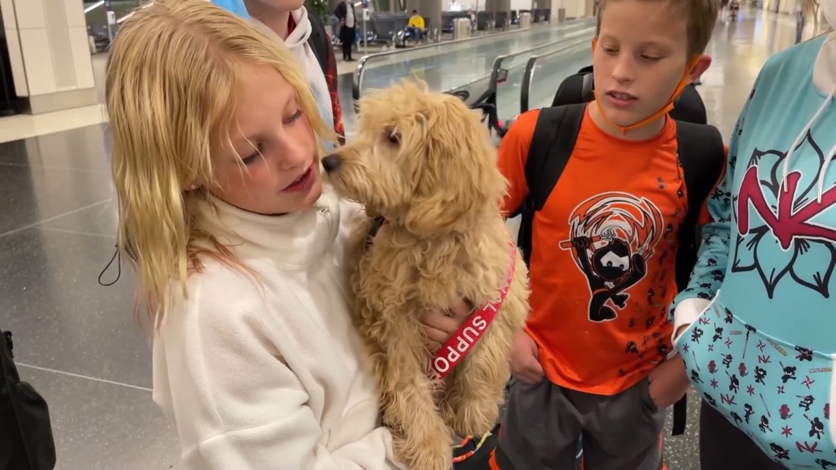 ‎Payton's Pets - Ninja Kidz TV: Payton (Series 2, Episode 1) - Apple TV (UK)