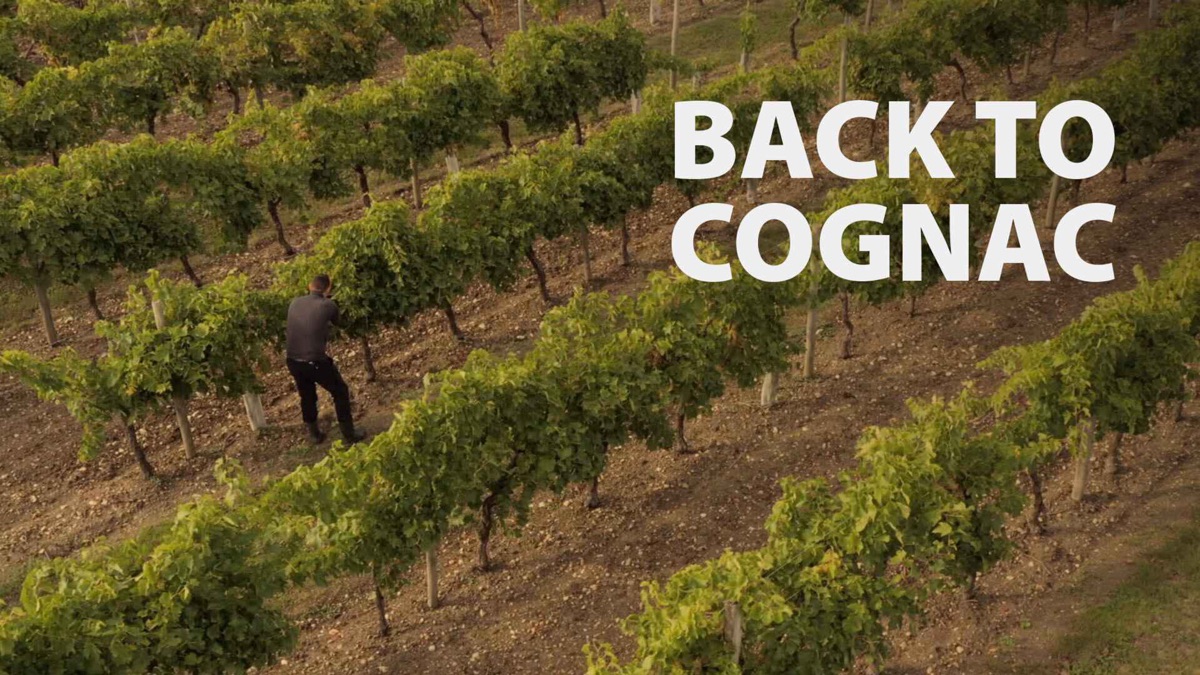 ‎Back to Cognac - Apple TV