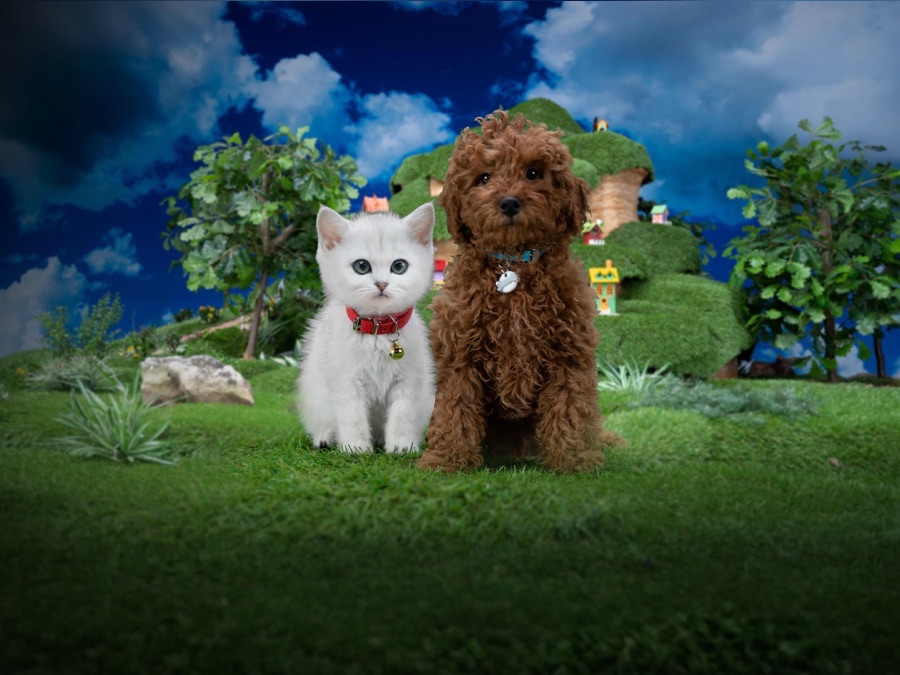 Mittens And Pants - Apple TV (UK)