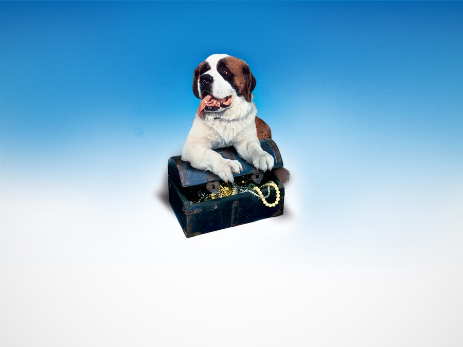 Mi perro ladrón - Apple TV