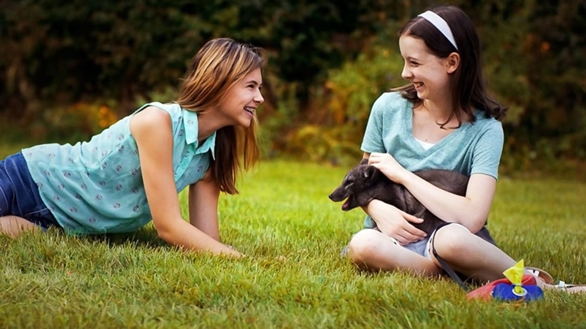 Amanda and the Fox - Apple TV