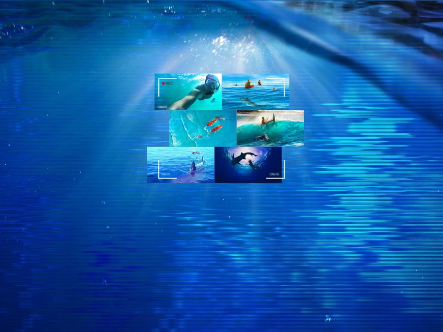Caught! When Sharks Attack - Apple TV