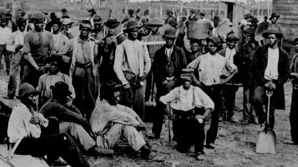 The Battle of Pussy Willow Creek - Apple TV (IL)