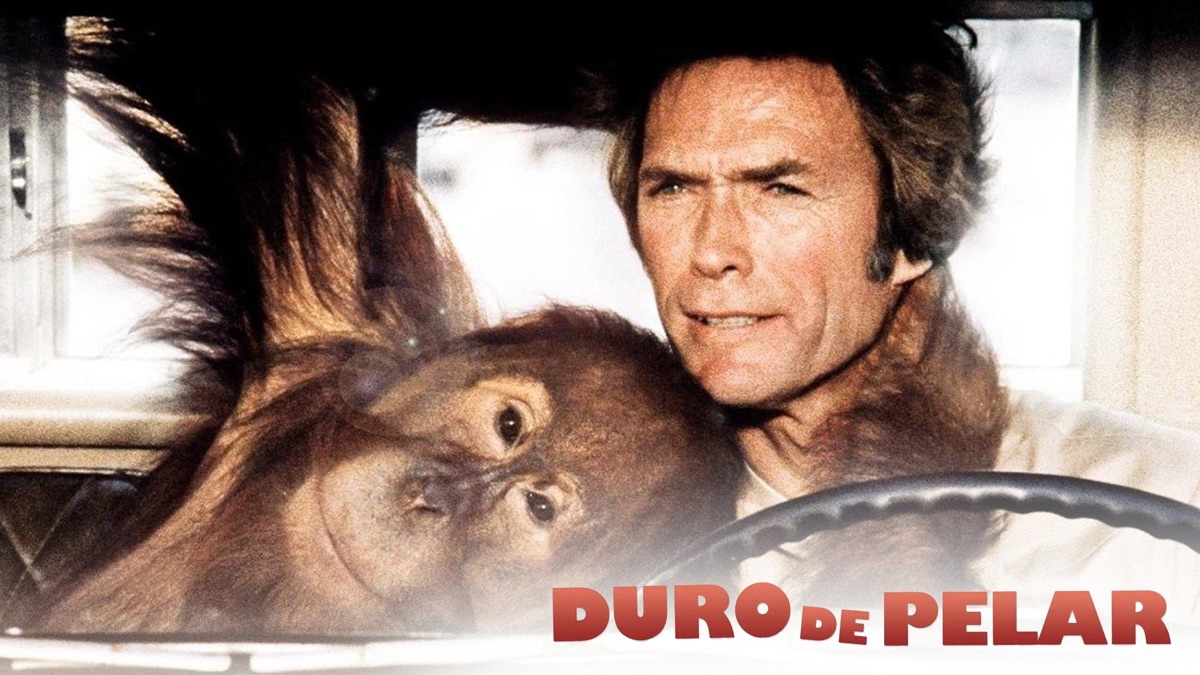 ‎Pendenciero Rebelde - Apple TV