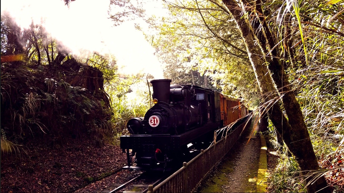‎Dunedin, New Zealand - World's Most Scenic Railway Journeys (Series 4 ...