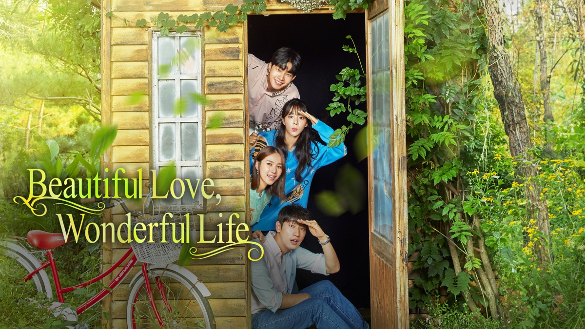 ‎Beautiful Love, Wonderful Life - Apple TV