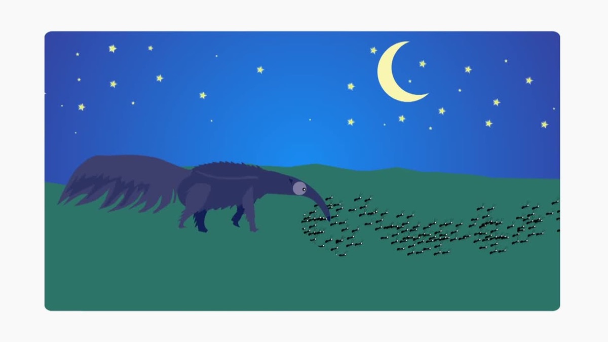 Mimo Der Ameisenbär - Zoomix (Staffel 1, Folge 3) - Apple TV (DE)